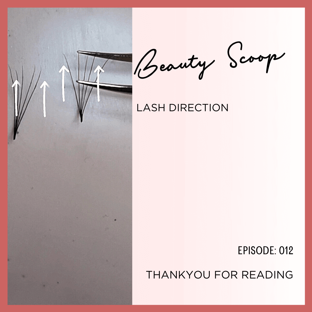 Lash Tutorial - Lash Direction – Blush Beauty Group